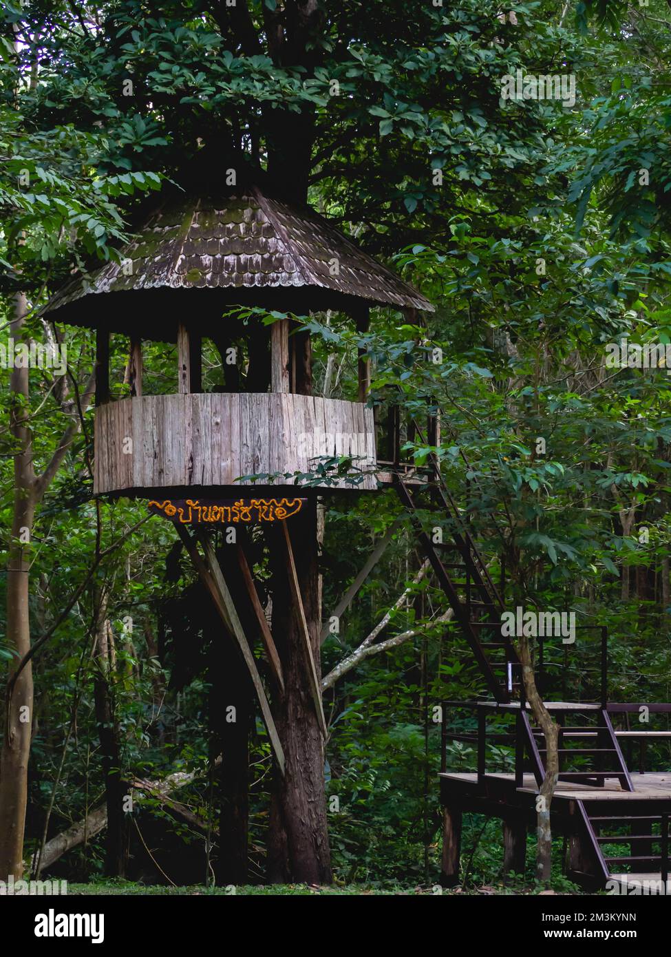Tree house named Tarzan House บ้านทาร์ซาน Is Tarzan House Stock Photo ...