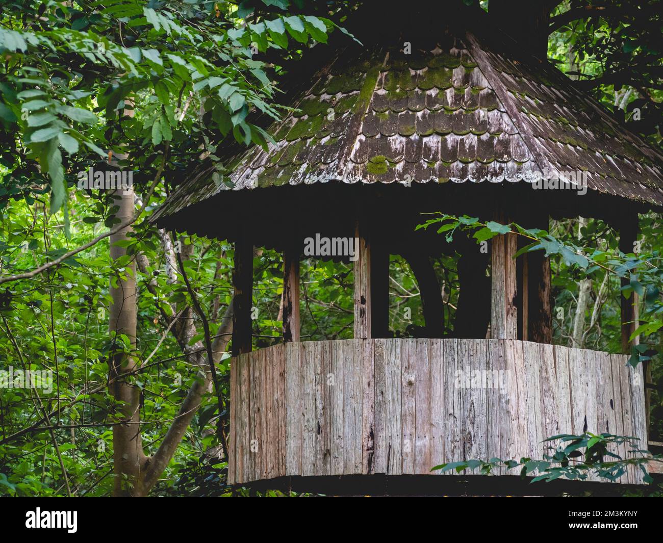 Tree house made of wood Stock Photo - Alamy