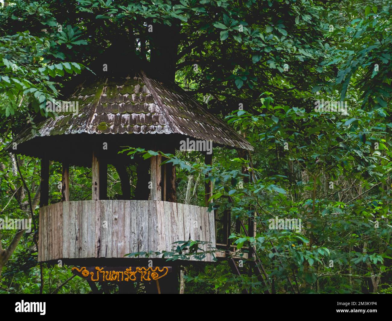 Tree house named Tarzan House บ้านทาร์ซาน Is Tarzan House Stock Photo ...