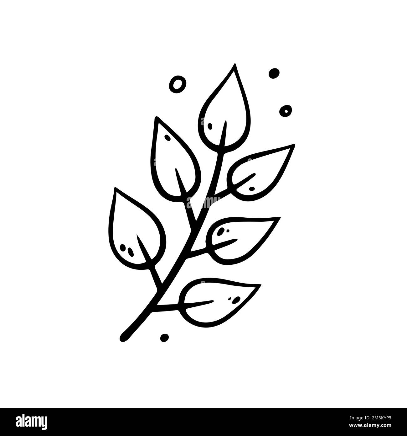 Hand drawn tree branch with leaves, autumn element. Vector illustration ...