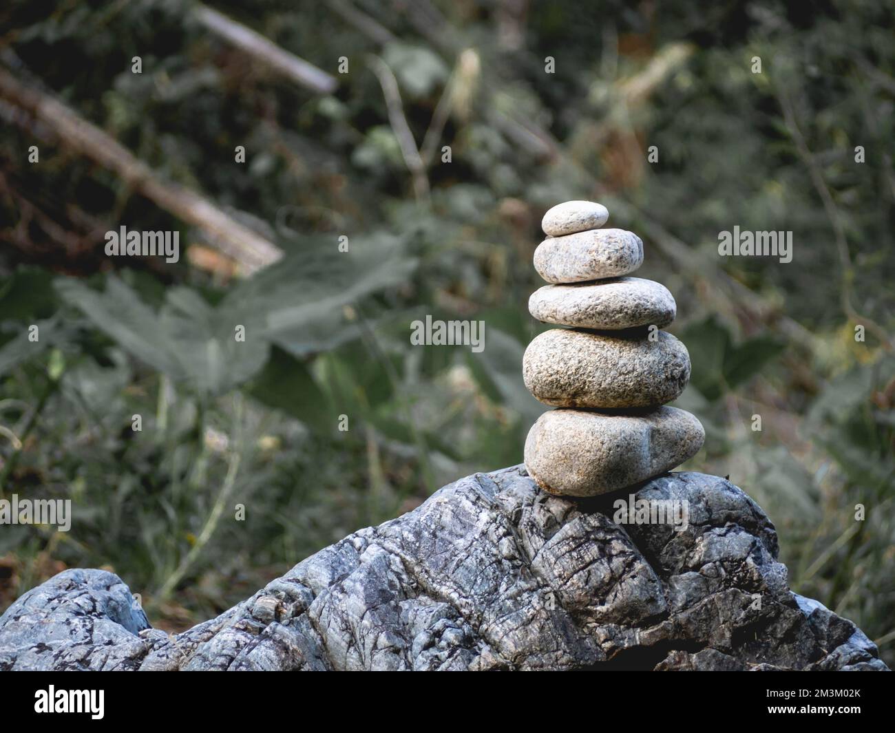 Stones and leaves hi-res stock photography and images - Alamy