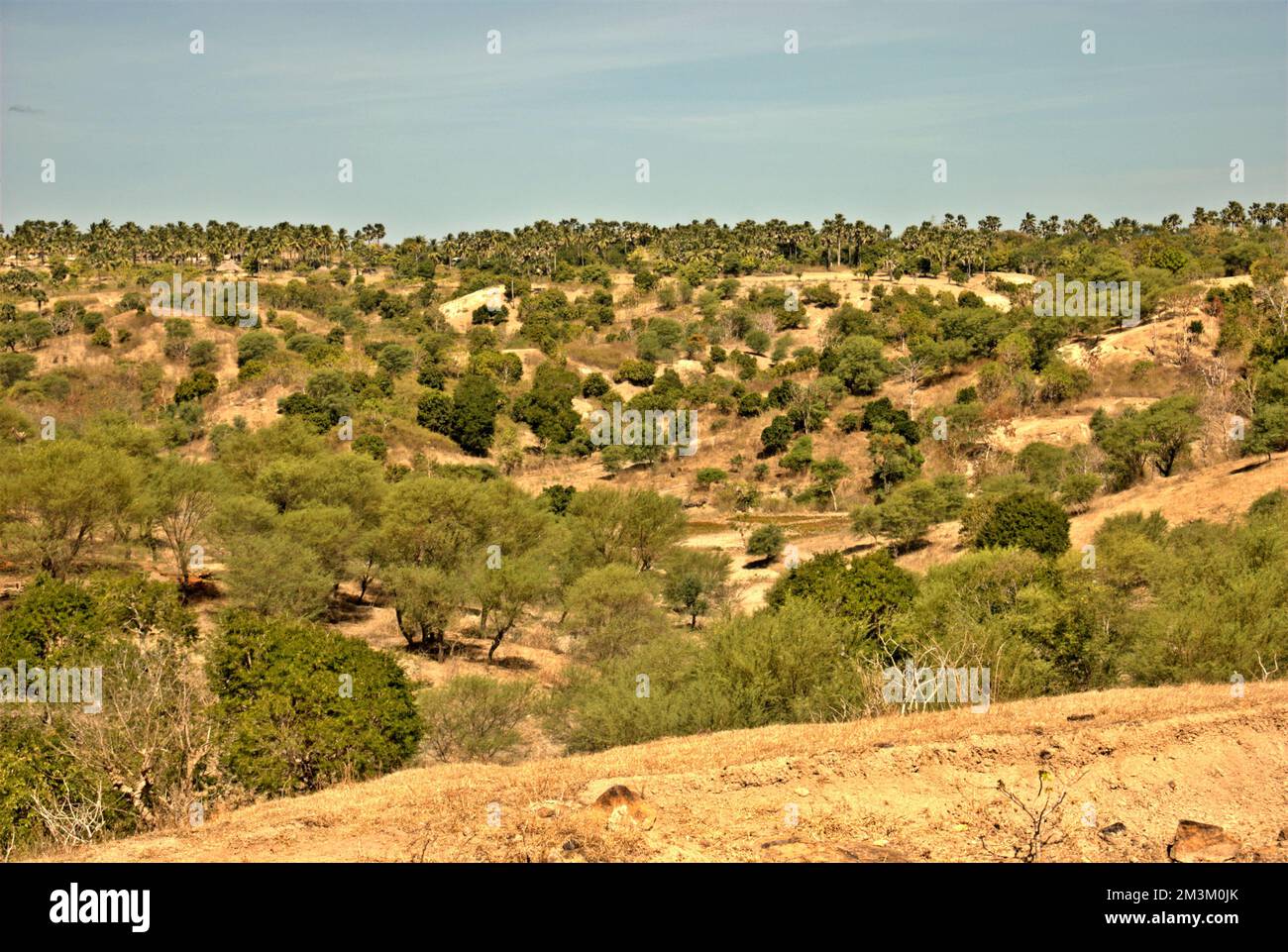 Rote ndao hi-res stock photography and images - Alamy