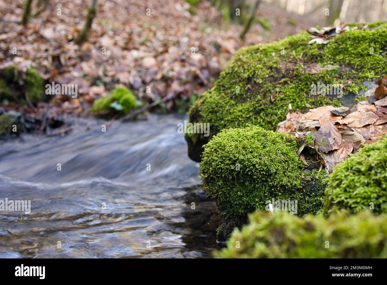 A flowing river surrounded by moss covered rocks Stock Photo - Alamy