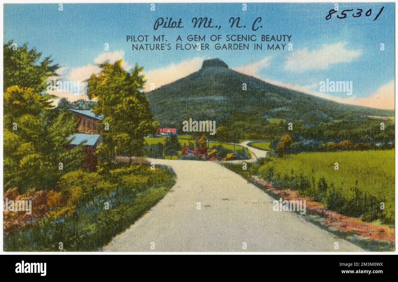 Pilot Mt., N. C., Pilot Mt. a gem of scenic beauty nature's flower ...