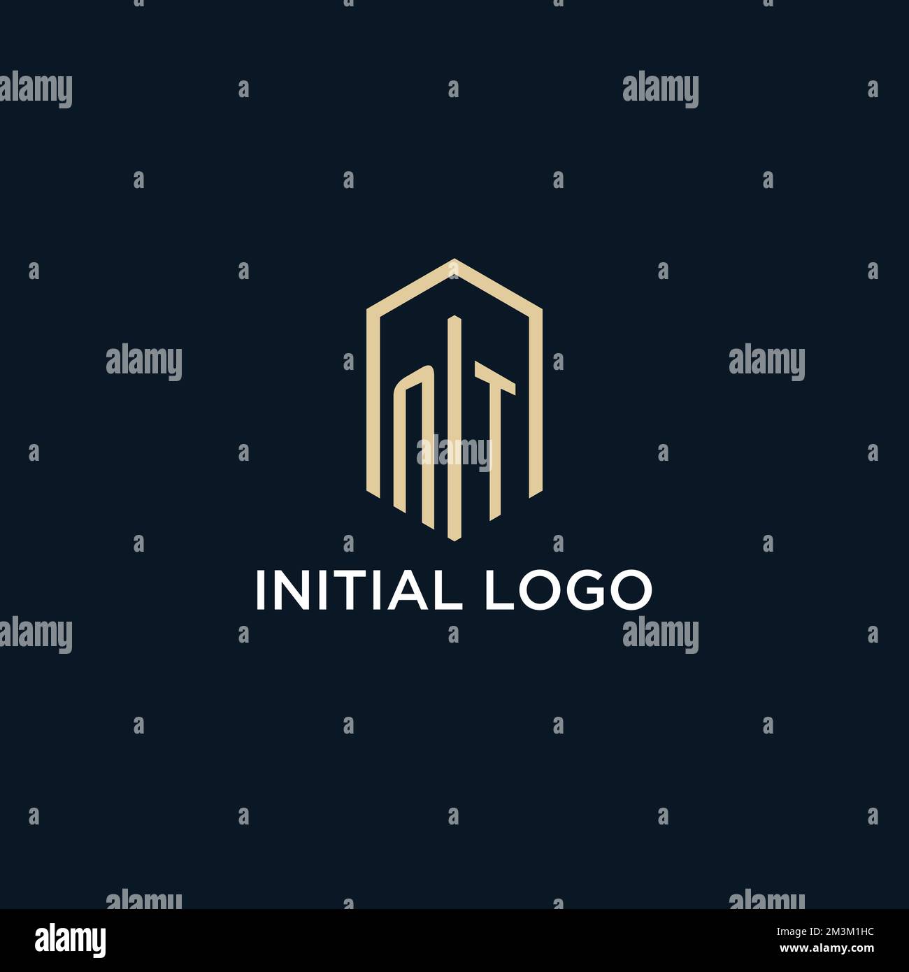 NT initial monogram logo with hexagonal shape style, real estate logo ...