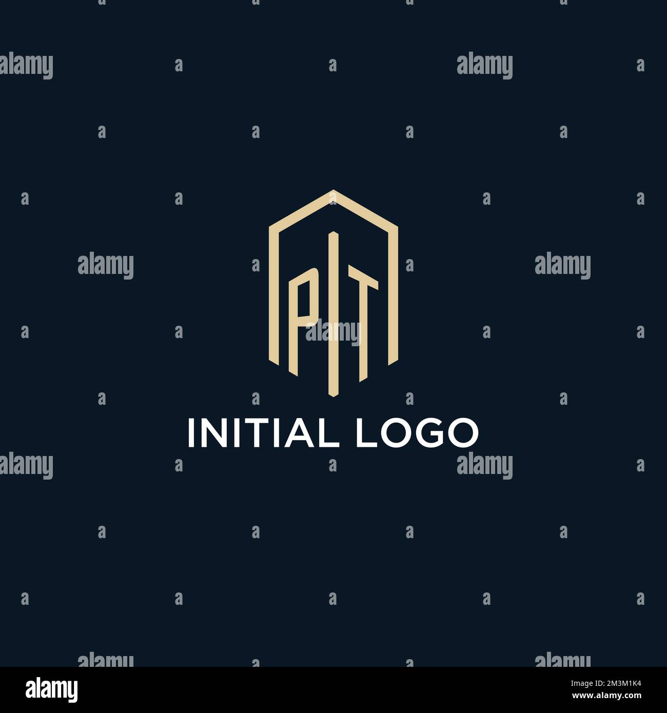 PT initial monogram logo with hexagonal shape style, real estate logo ...