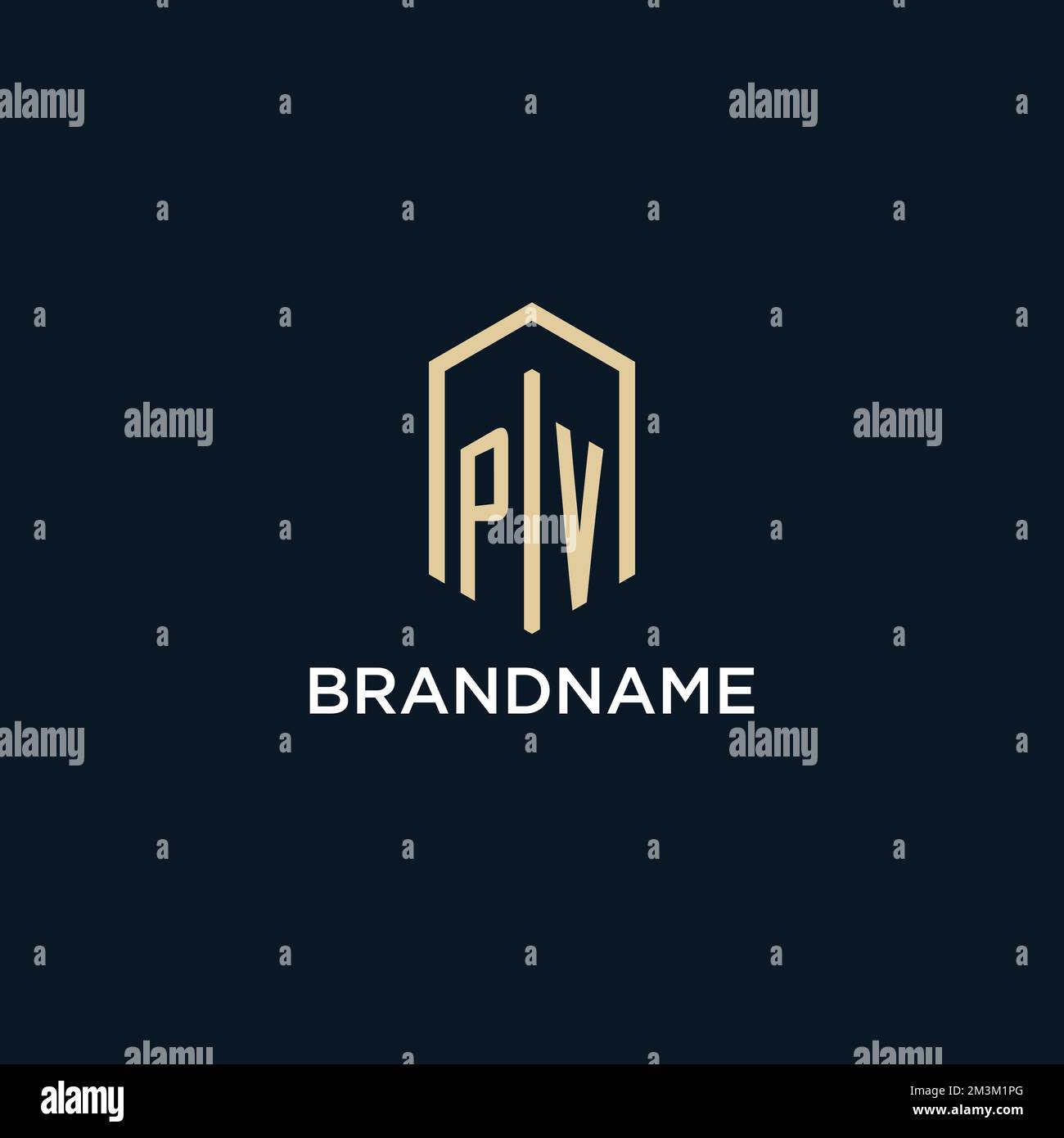 PV initial monogram logo with hexagonal shape style, real estate logo ...