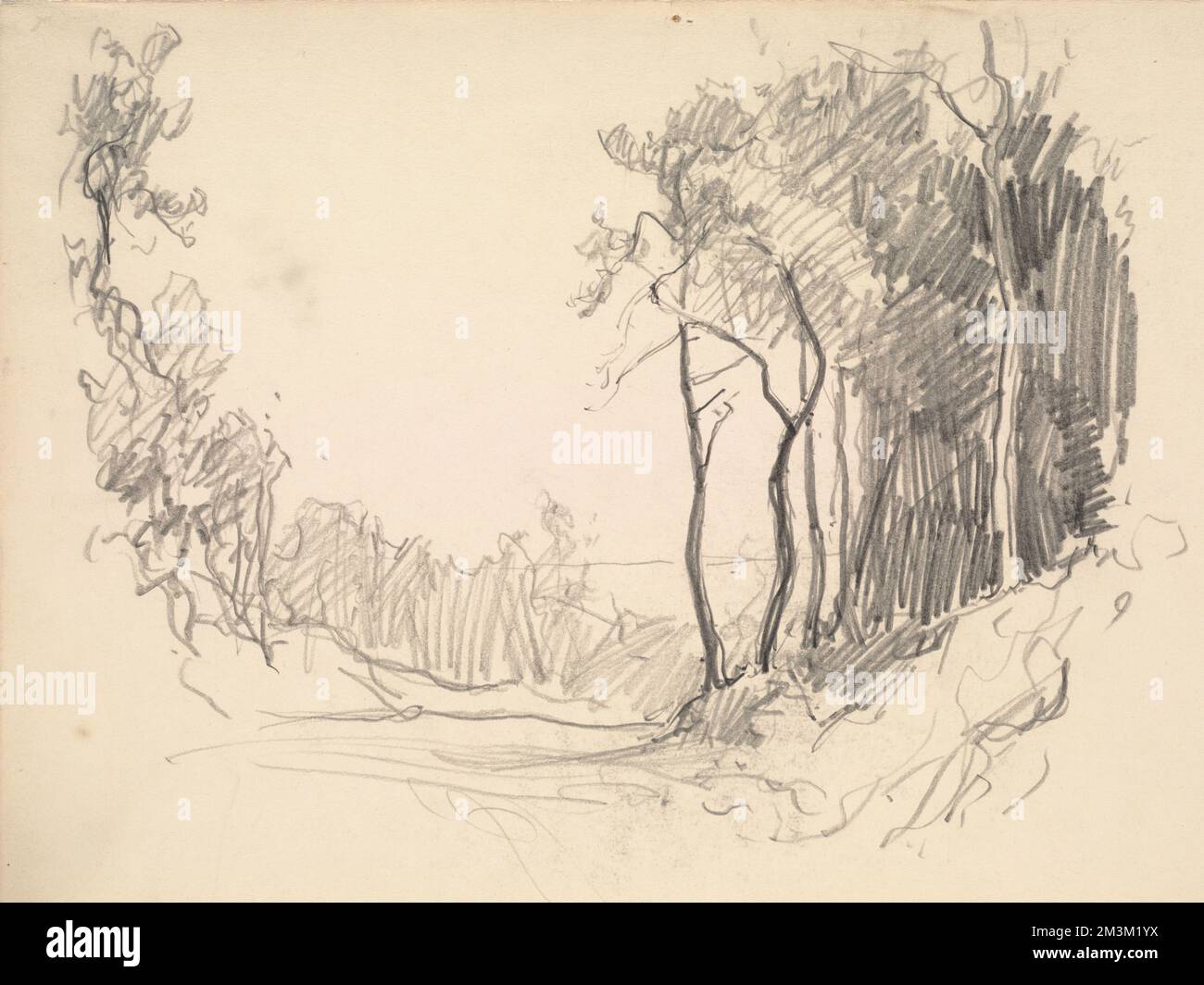 Pitch pines , Trees. Charles H. Woodbury (1864-1940). Prints Stock ...