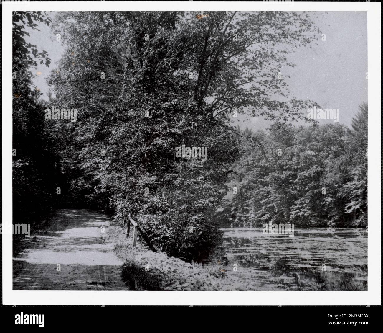 Plain Road , Roads, Trees, Lakes & ponds. Wayland Free Public Library ...