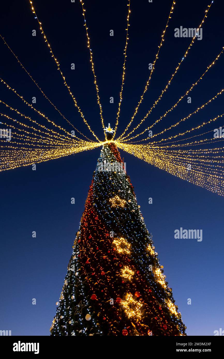 Christmas tree street. A bright decorated Christmas tree with golden ...