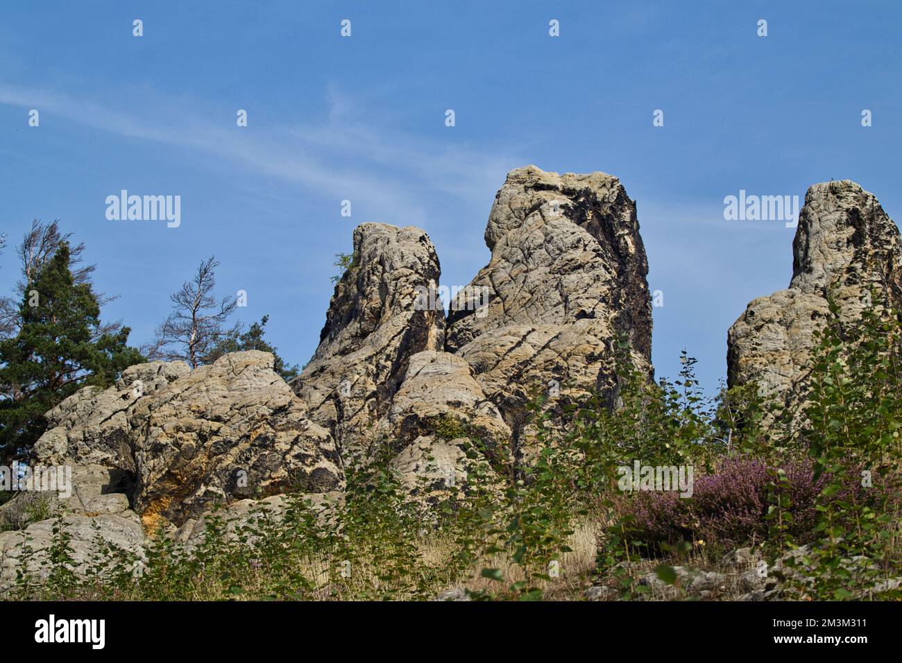 An aerial view of cliff surrounded by trees Stock Photo - Alamy