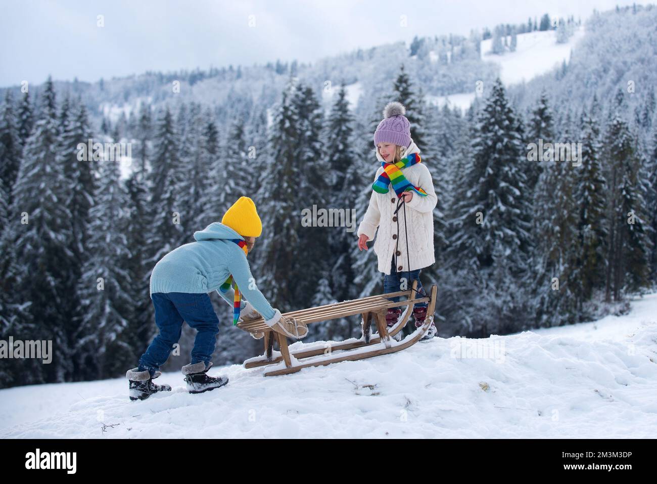Children sledding, riding a sledge. Children son and daughter play in ...