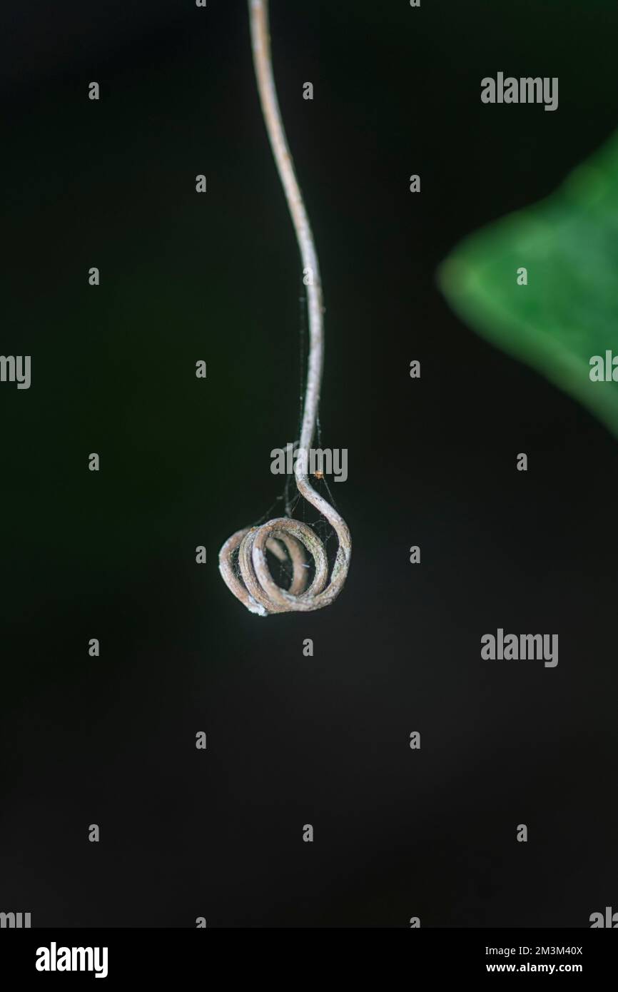 Twisting long climb hi-res stock photography and images - Alamy