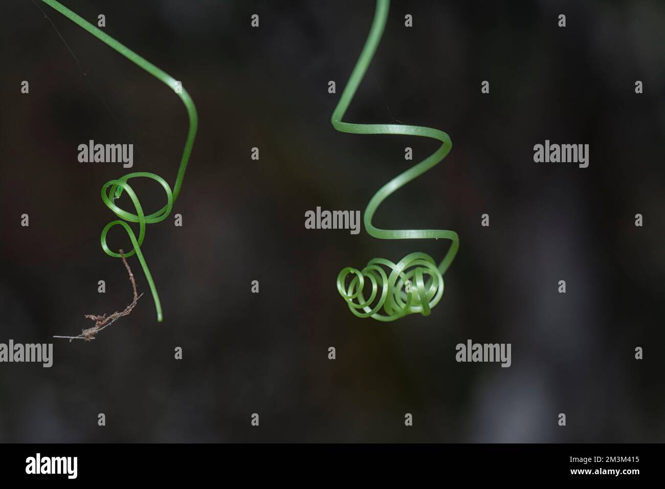 Twisting long climb hi-res stock photography and images - Alamy