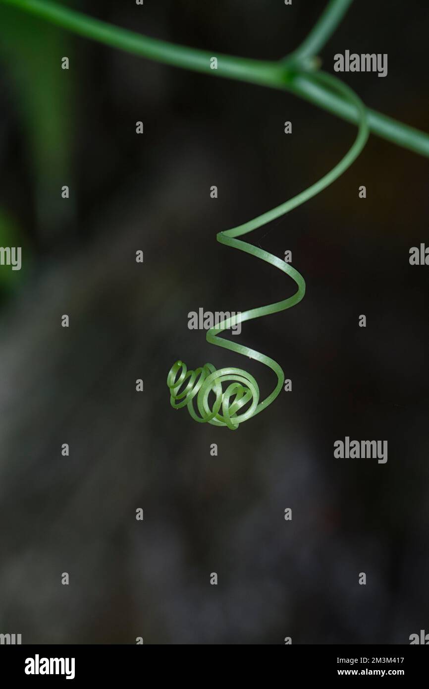 Twisting long climb hi-res stock photography and images - Alamy