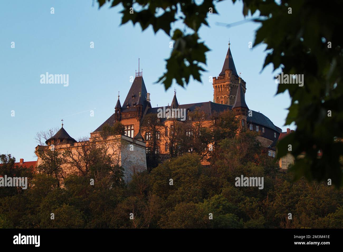 An aerial view of Wernigerode castle surrounded by trees Stock Photo ...