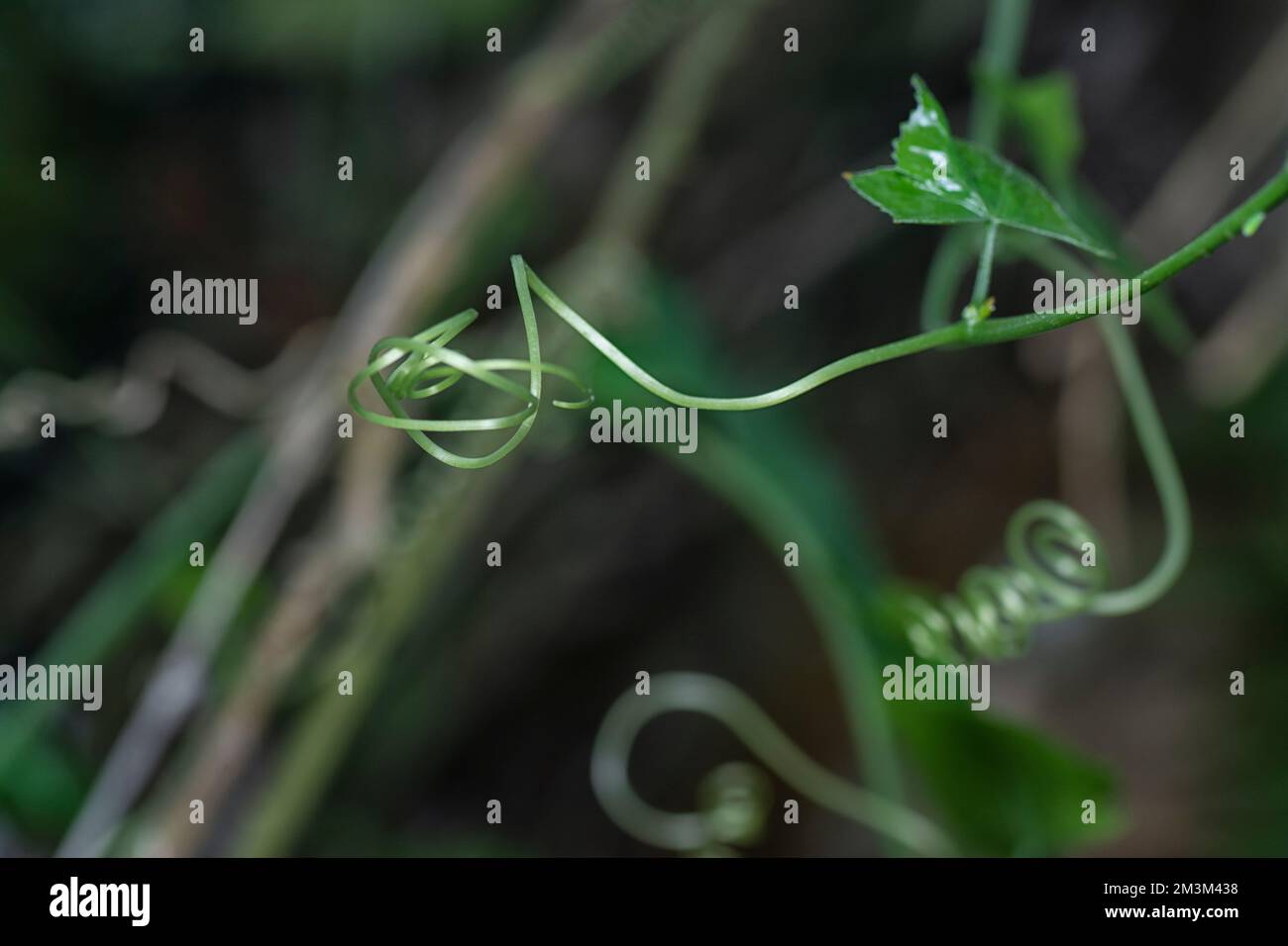 Twisting long climb hi-res stock photography and images - Alamy