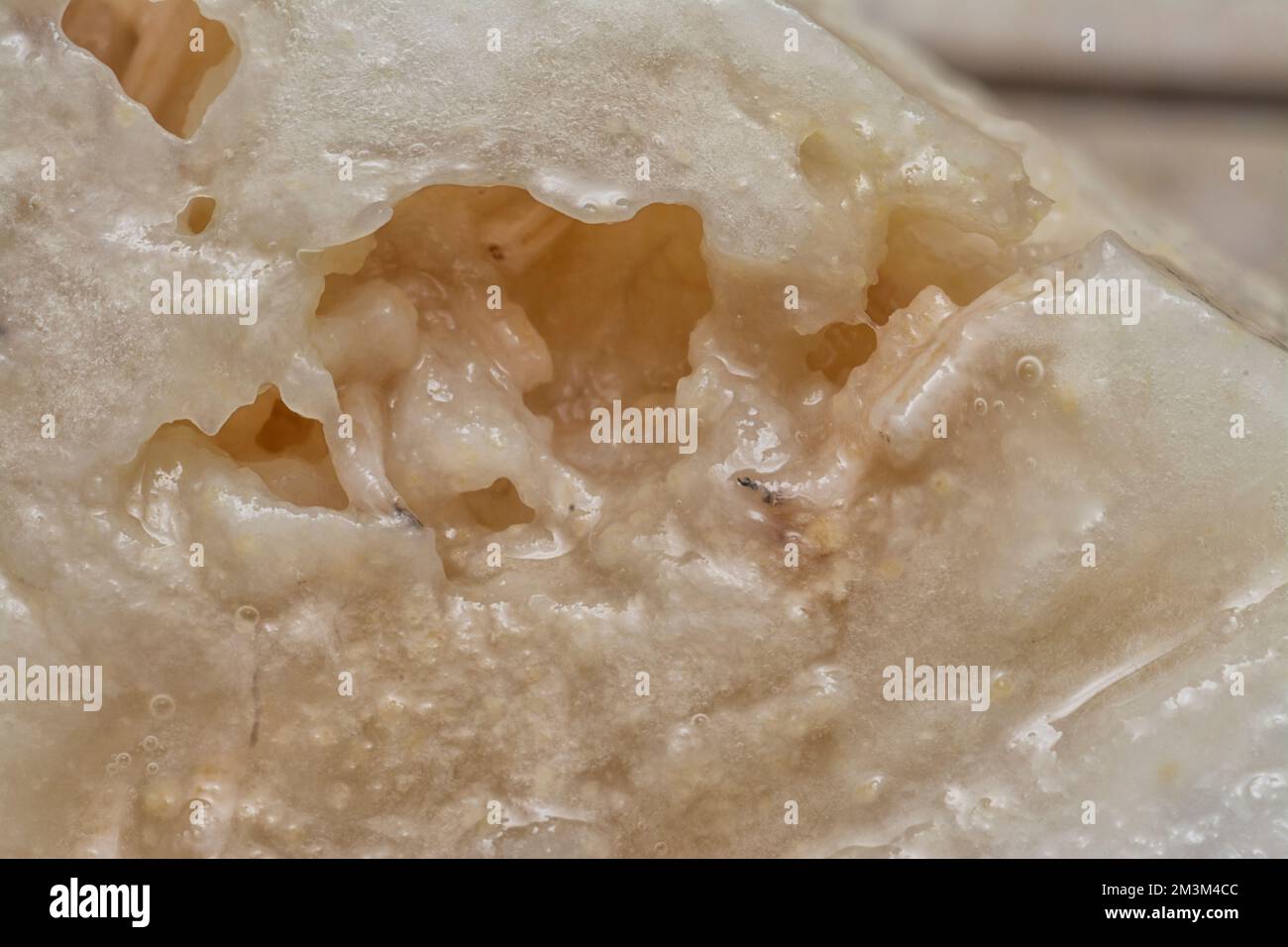 Rotten apple maggot hi-res stock photography and images - Alamy
