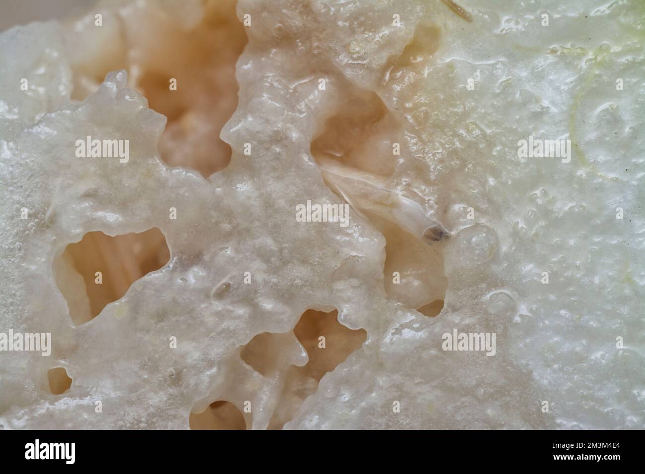 close shot of the rotten apple meat flesh Stock Photo - Alamy