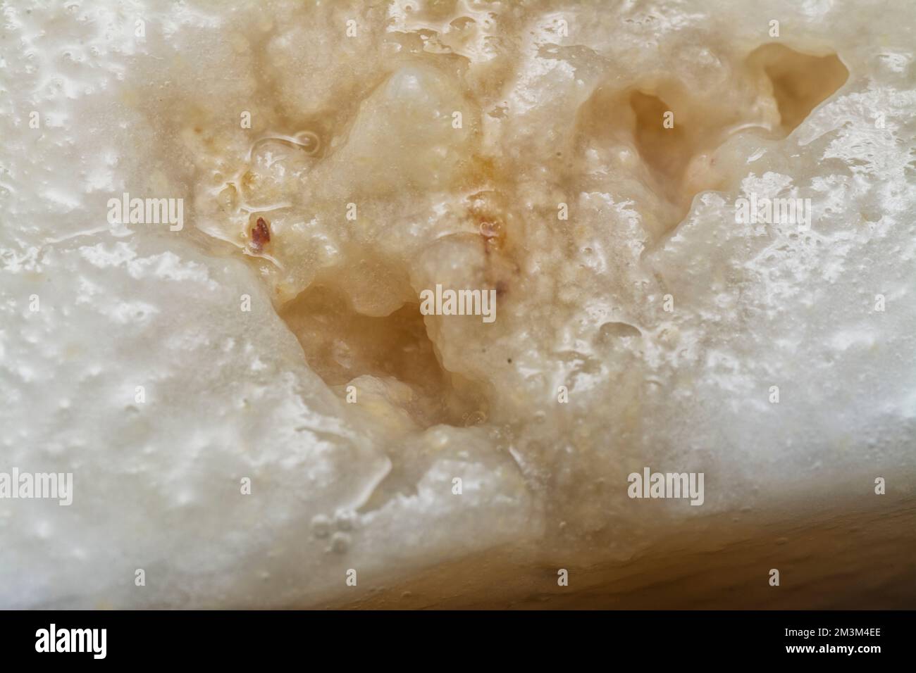 close shot of the rotten apple meat flesh Stock Photo - Alamy