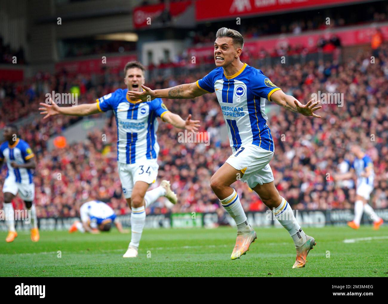 Leandro trossard december 2022 hi-res stock photography and images - Alamy