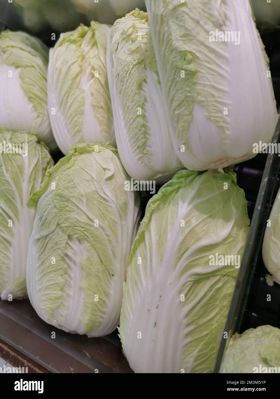 lots of the raw and fresh china cabbage Stock Photo - Alamy