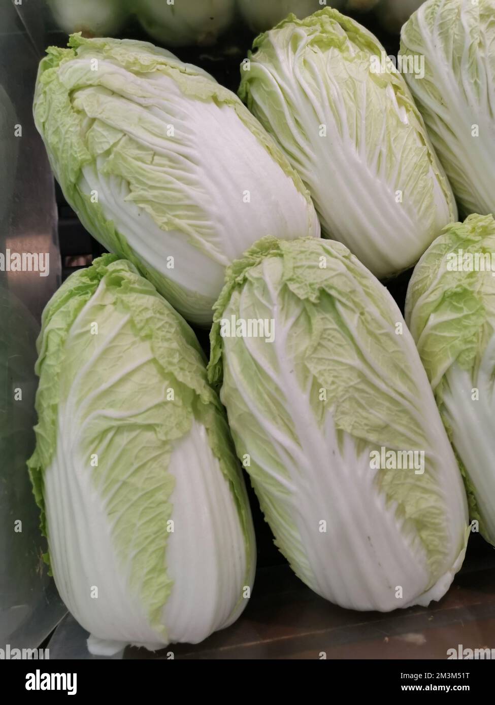 Broccoli cauliflower bok choy cabbage hi-res stock photography and ...