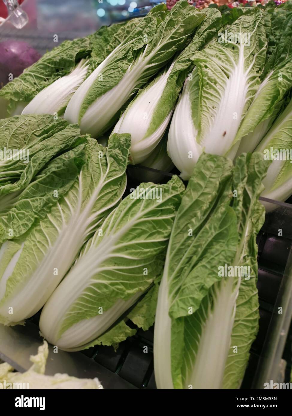 Leafier hi-res stock photography and images - Alamy