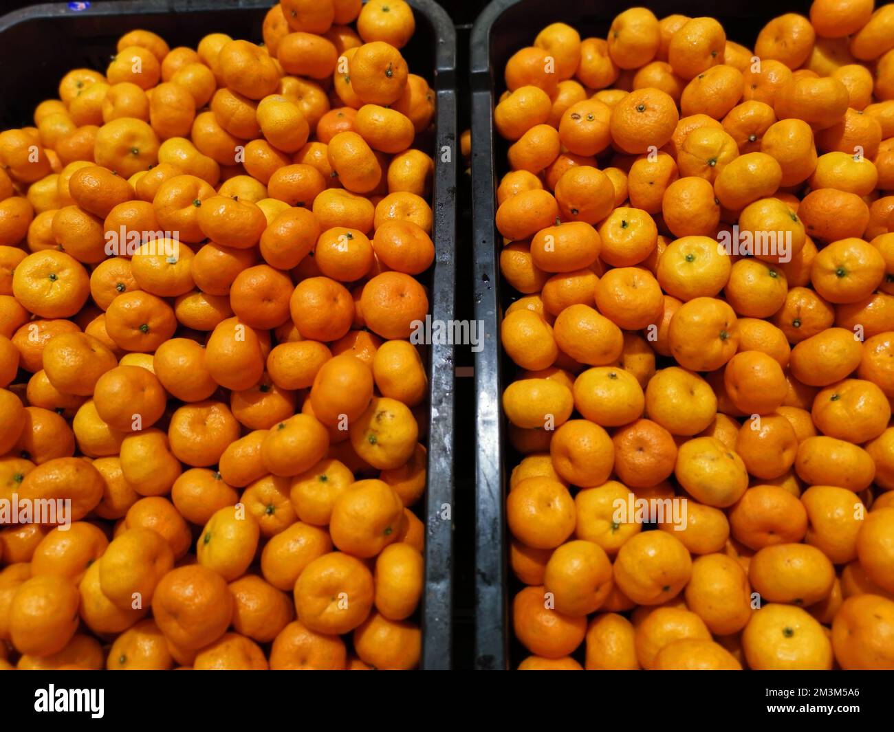 bundle of the mini china honey mandarin orange Stock Photo - Alamy