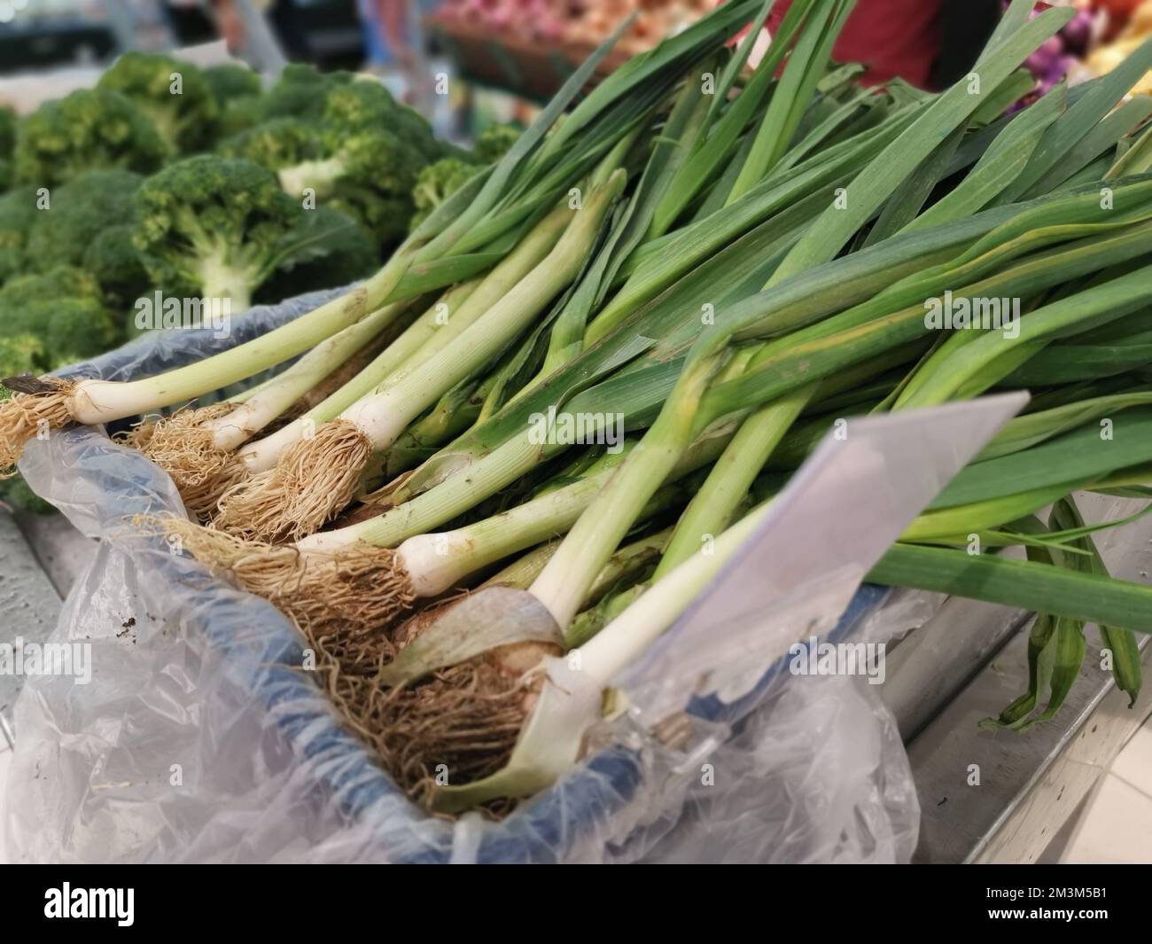 Chinese leeks hi-res stock photography and images - Alamy
