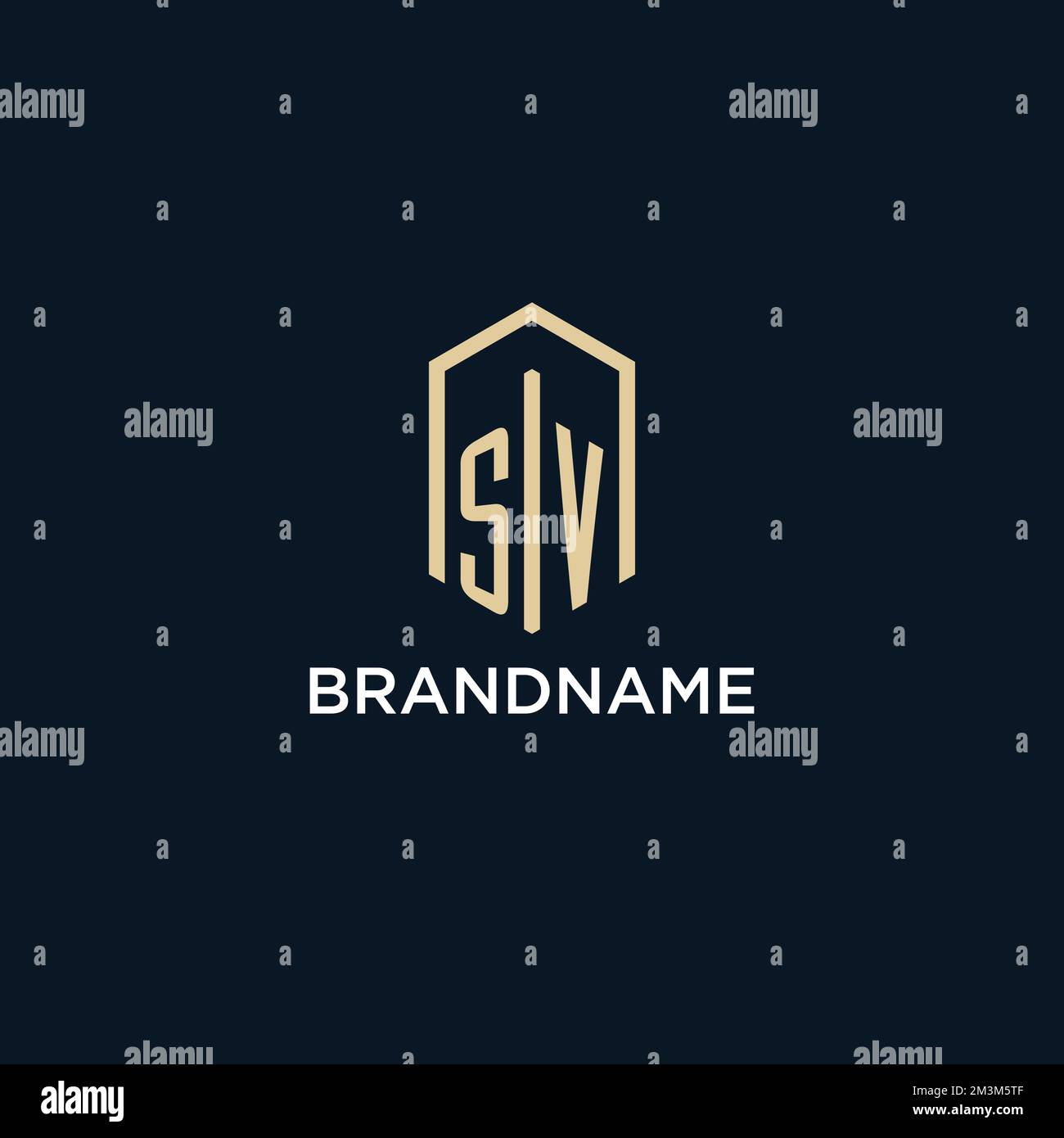 SV initial monogram logo with hexagonal shape style, real estate logo ...