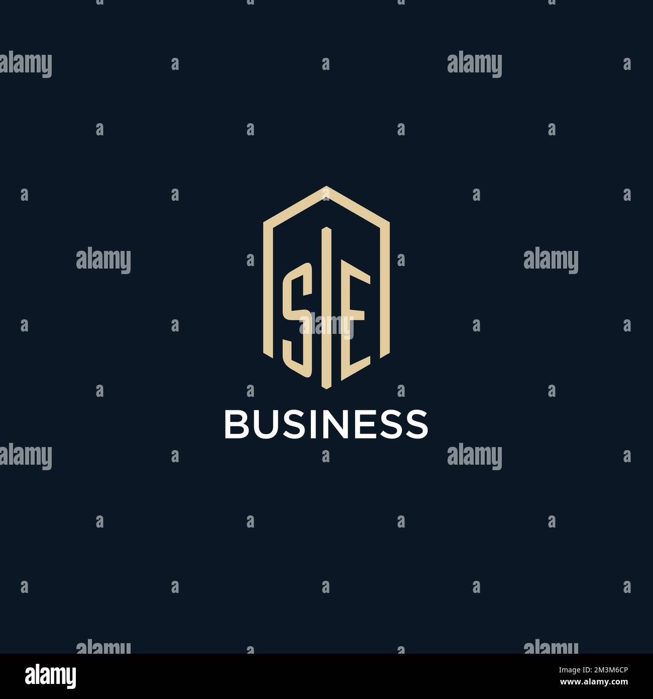 SE initial monogram logo with hexagonal shape style, real estate logo ...