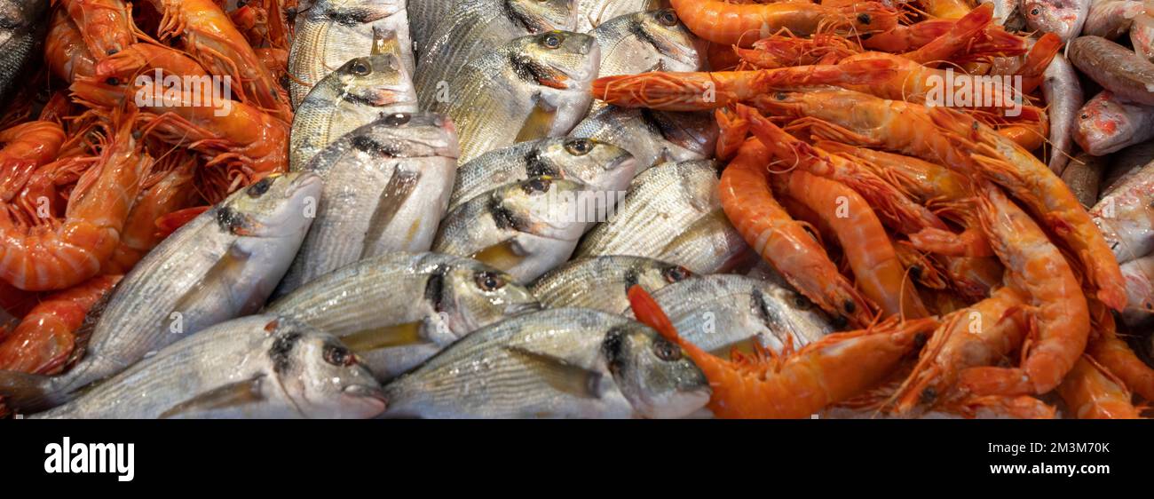 Sanary sur mer fish hi-res stock photography and images - Alamy