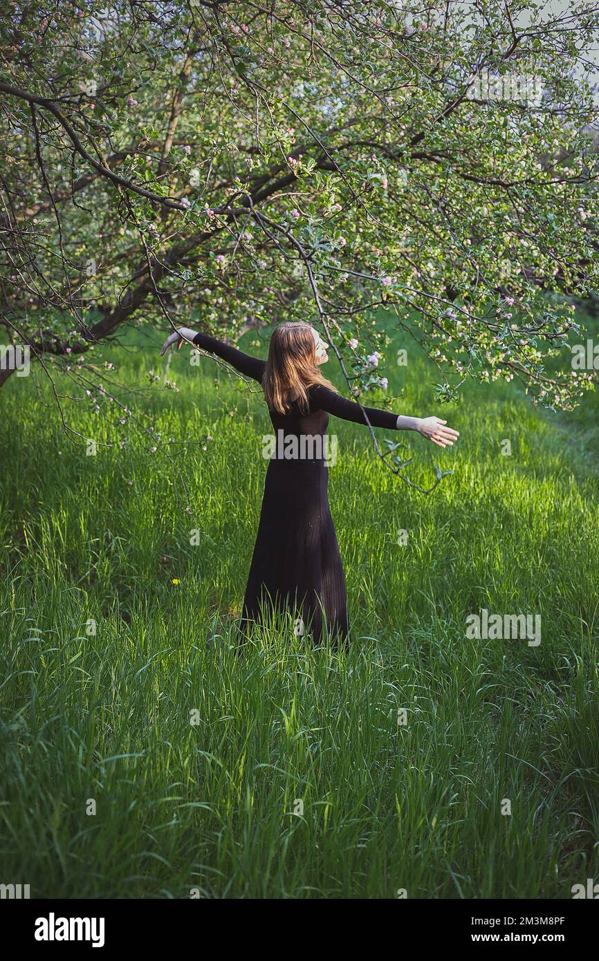 Under the spreading tree hi-res stock photography and images - Alamy