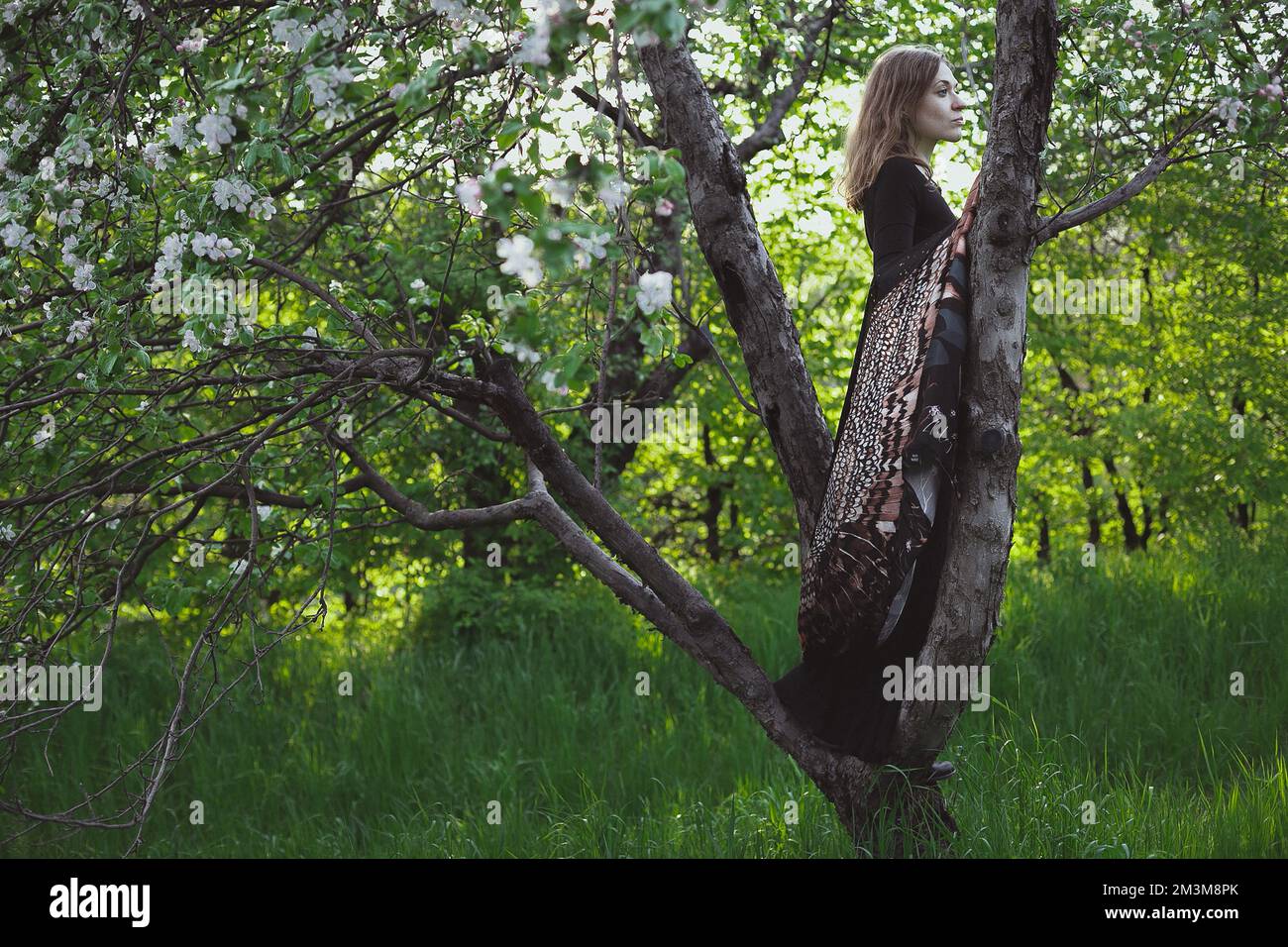Standing on tree branch woman covered with shawl scenic photography ...
