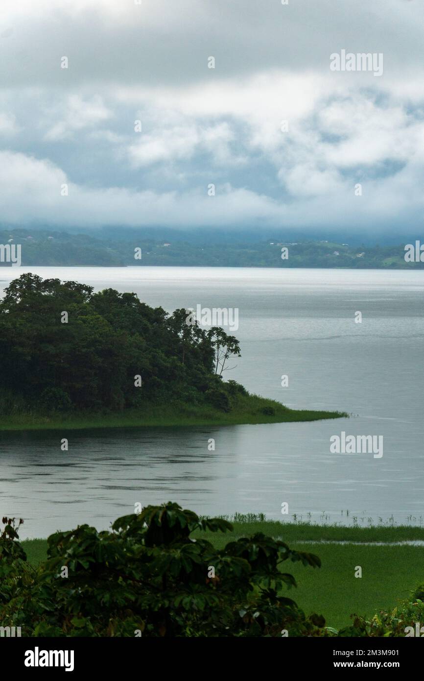 Costa rican jungle Stock Photo - Alamy