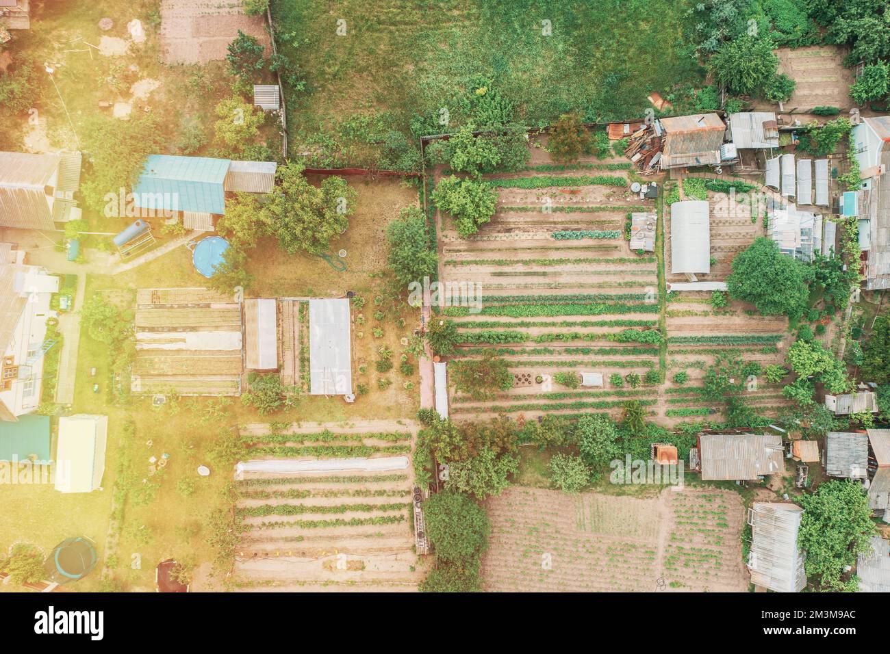 Home Plantations At Summer Day. Close-up Aerial View On Houses Of Small ...