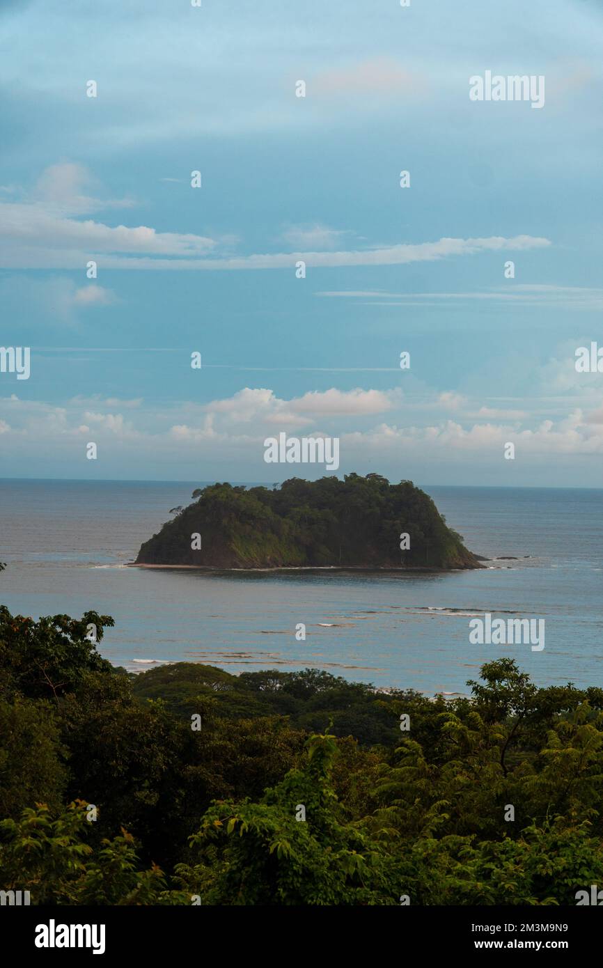 Costa rican jungle Stock Photo - Alamy