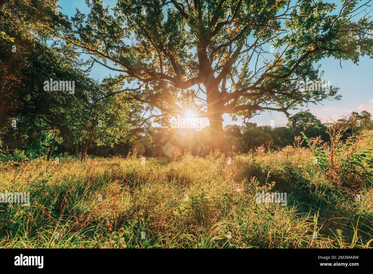 Specific season hi-res stock photography and images - Alamy
