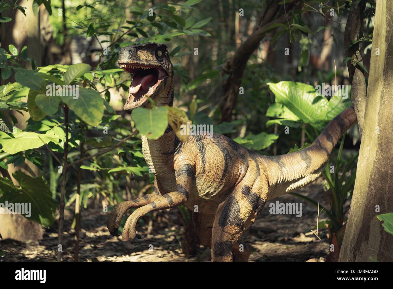 Gold Coast, Queensland, Australia - Dinosaur statue in Currumbin ...