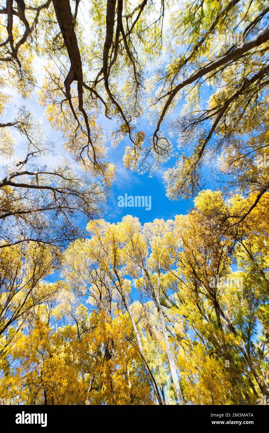 Prescott bridge hi-res stock photography and images - Alamy