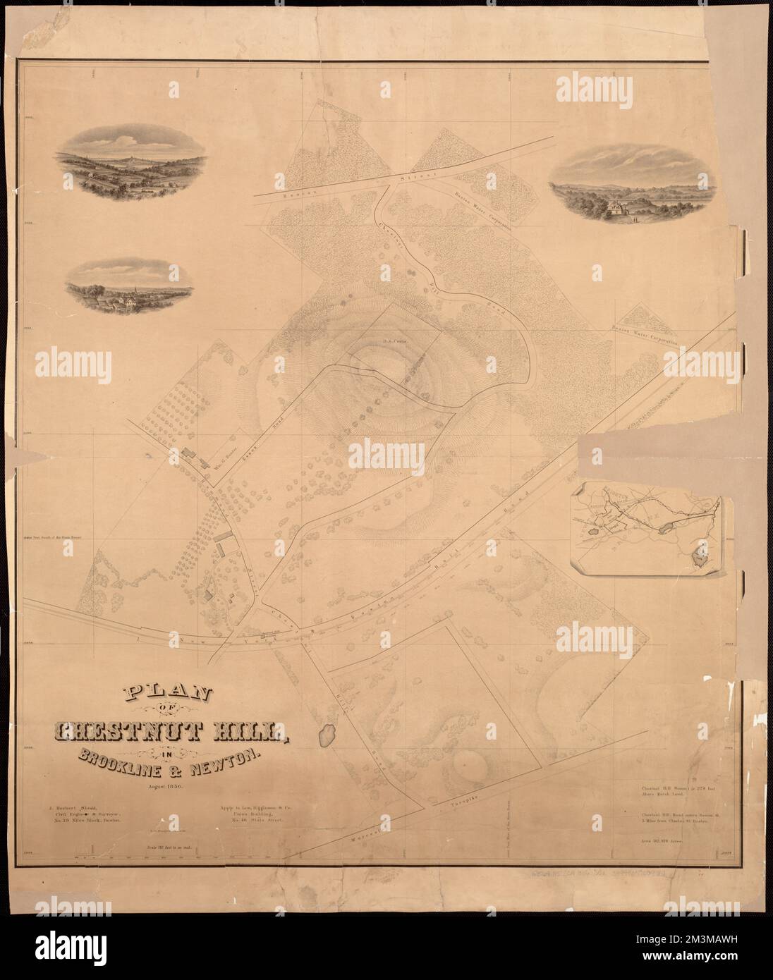 Plan of Chesnut Hill, in Brookline & Newton : August 1856 , Newton Mass., Maps Norman B ...