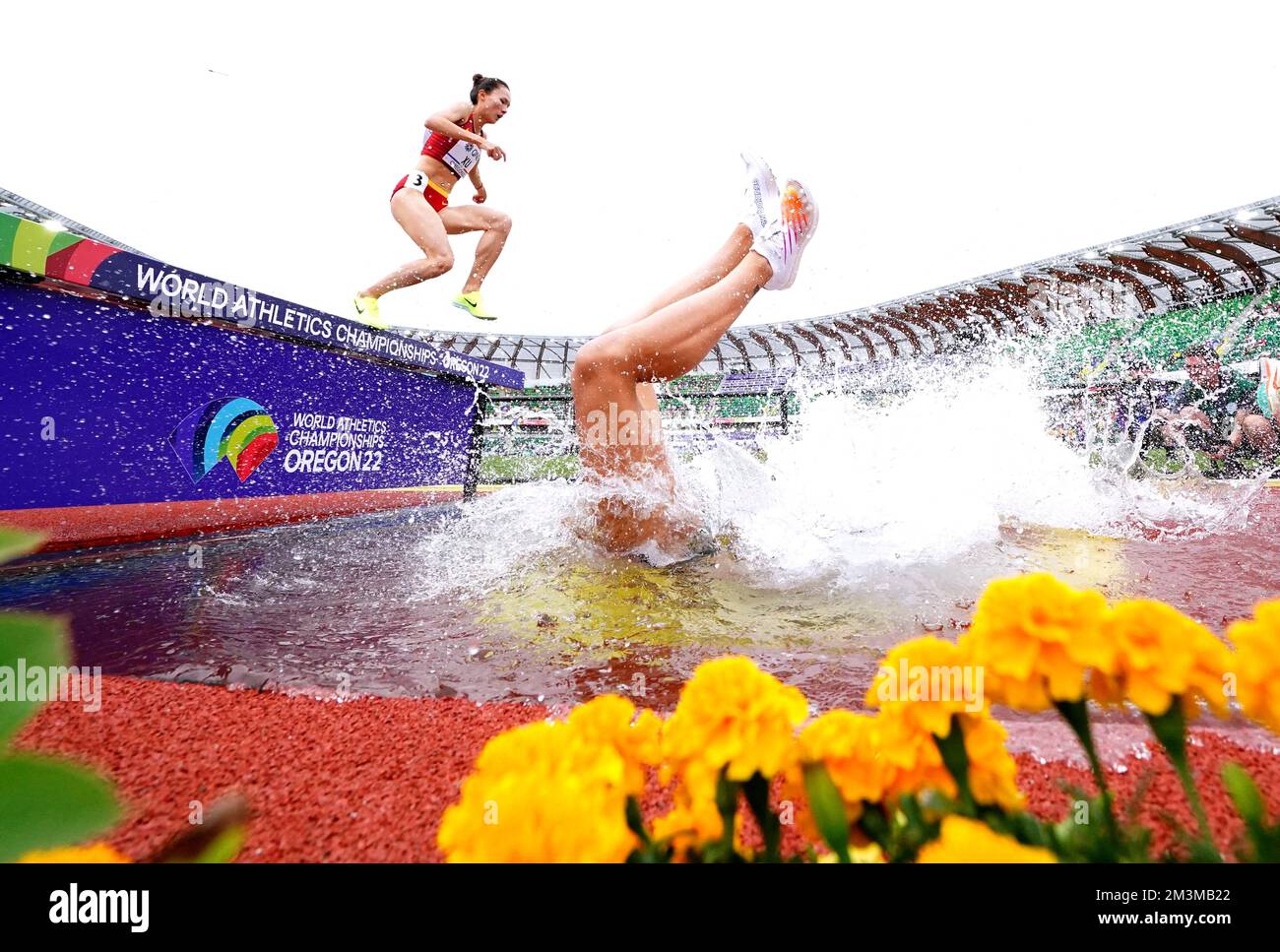 Eye catching images hi-res stock photography and images - Alamy