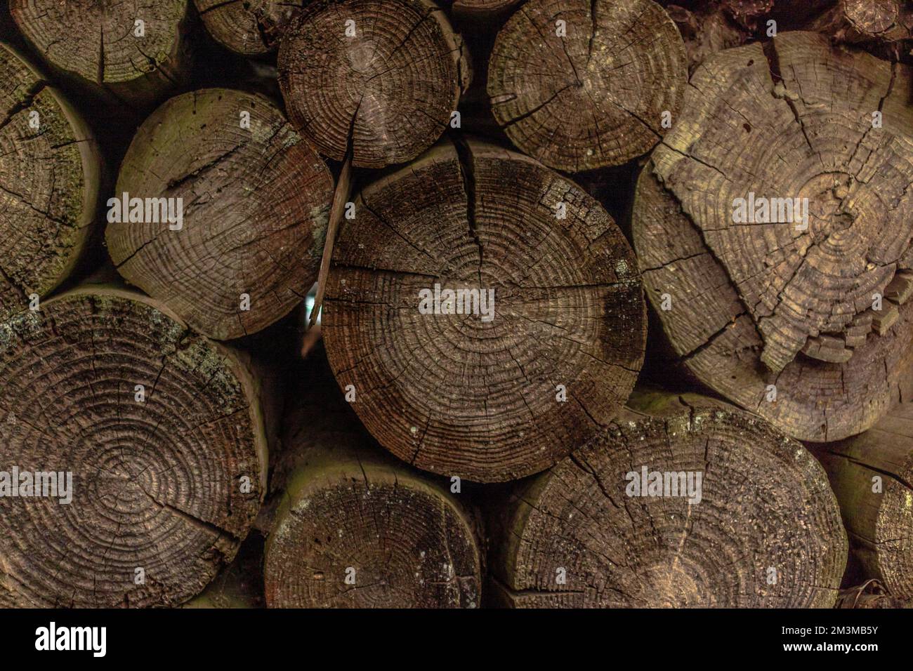 Teak wood plank hi-res stock photography and images - Alamy