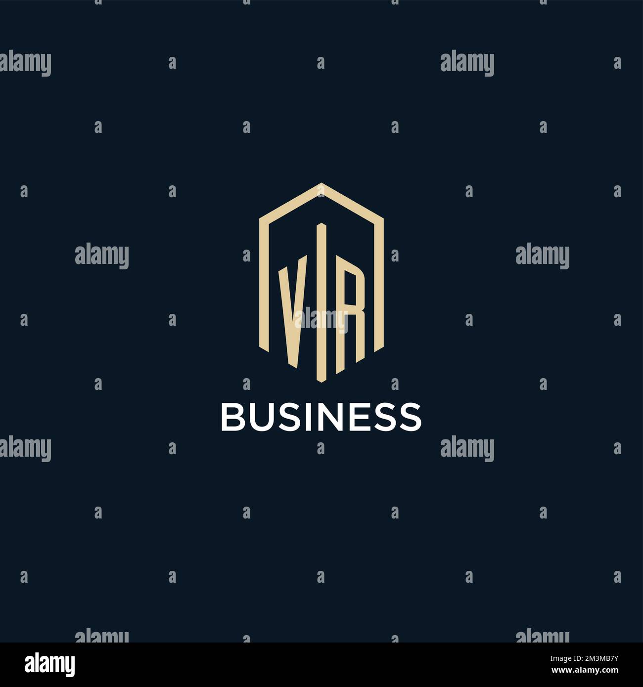 VR initial monogram logo with hexagonal shape style, real estate logo ...