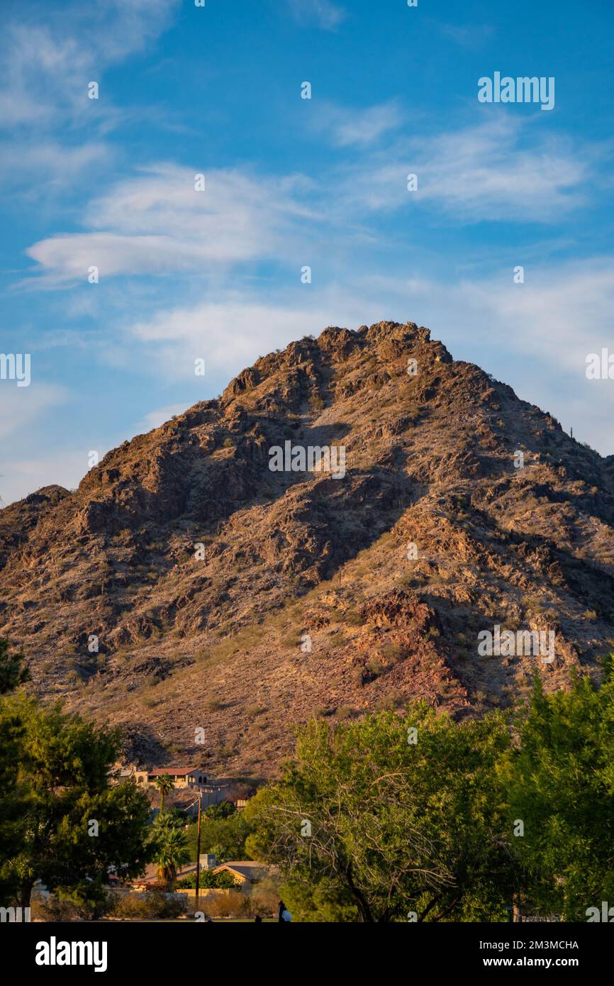 Phoenix skyline and cactus hi-res stock photography and images - Alamy