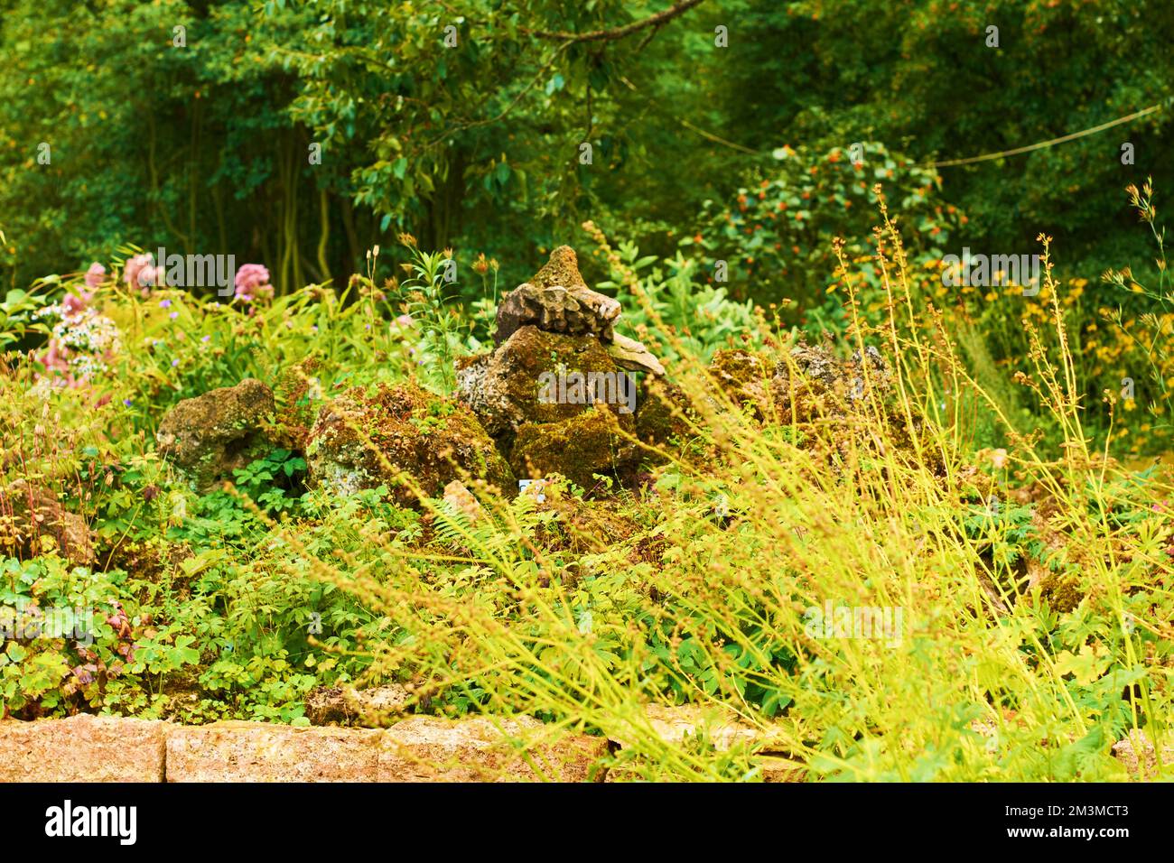 Alpine slide in the garden. Landscape design. Flower garden with fresh ...