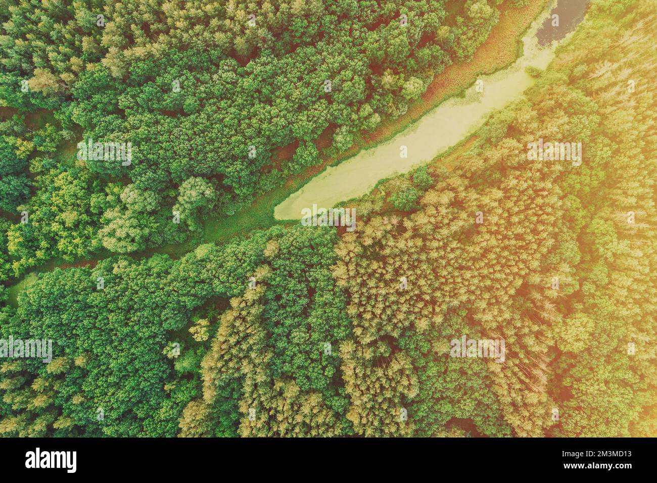 Aerial View Green Forest Woods And Small Marsh, Bog, Swamp Pond ...