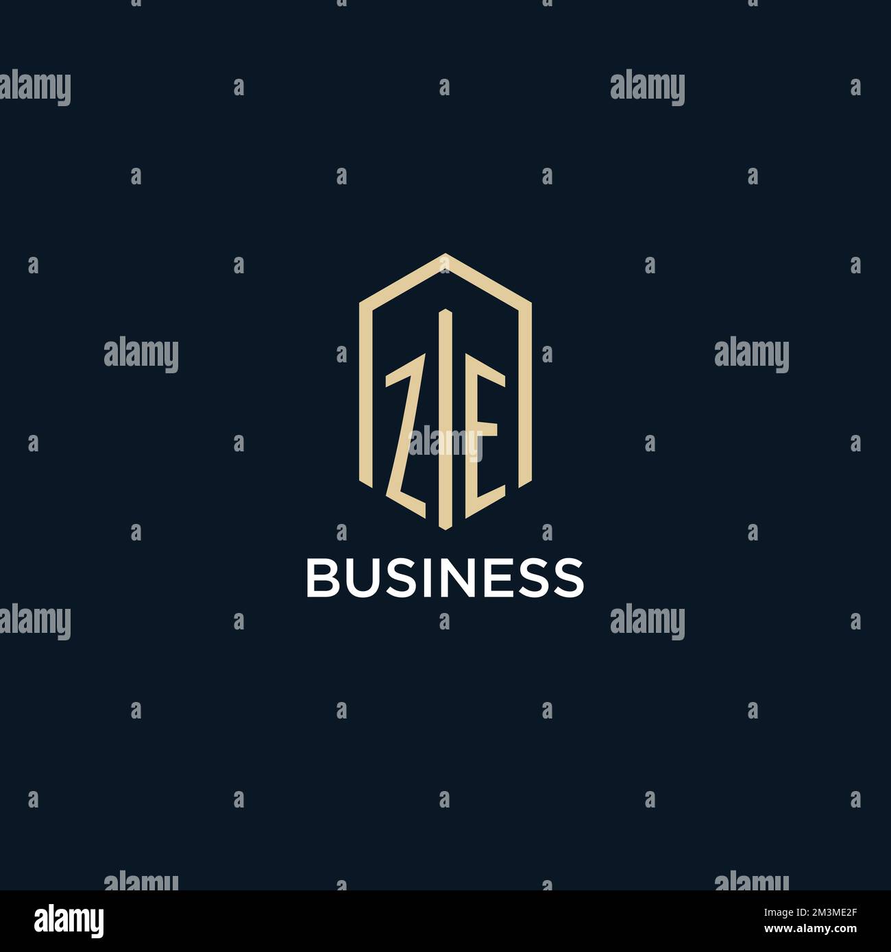 ZE initial monogram logo with hexagonal shape style, real estate logo ...