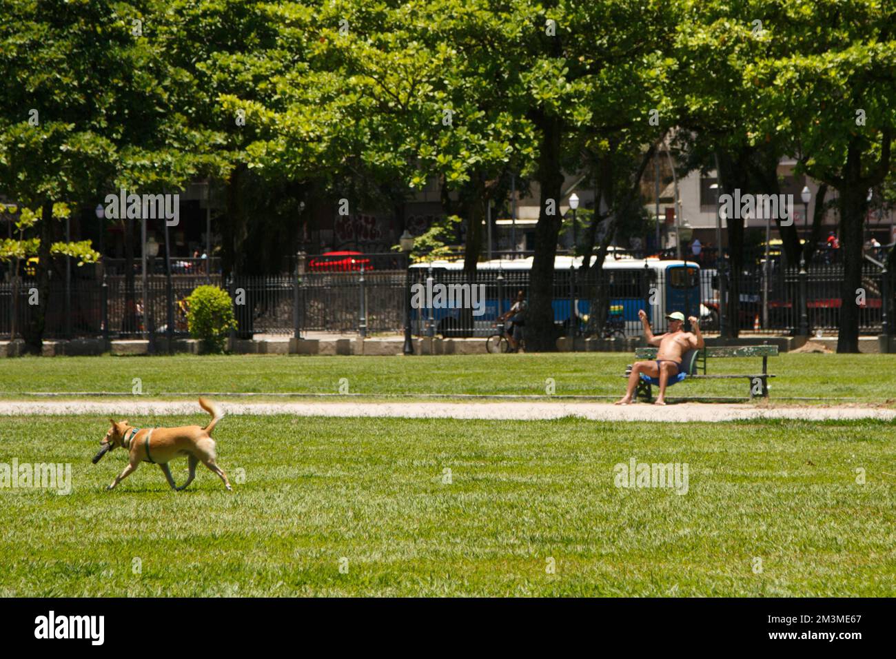 Rio De Janeiro, Brazil. 15th Dec, 2022. A man enjoys his leisure time ...
